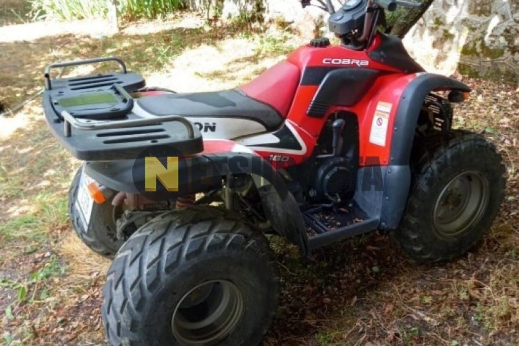 Subasta de Aeon Cobra 180 2004