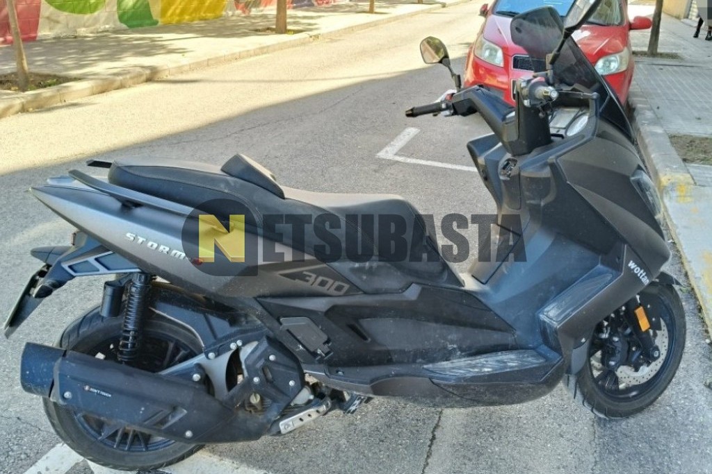 Subasta de Wottan Storm-S 300 2024